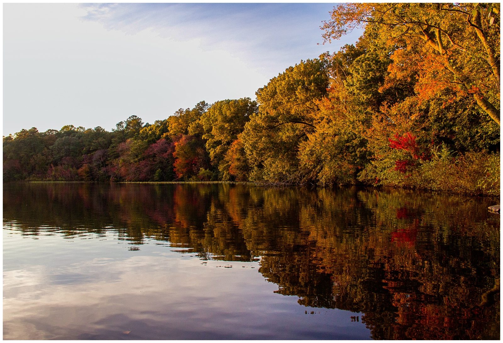 Best Places for Fall Foliage in Delaware State Parks ...