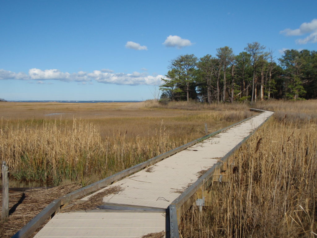 Experience Delaware Seashore State Park | delawarestateparks.blog