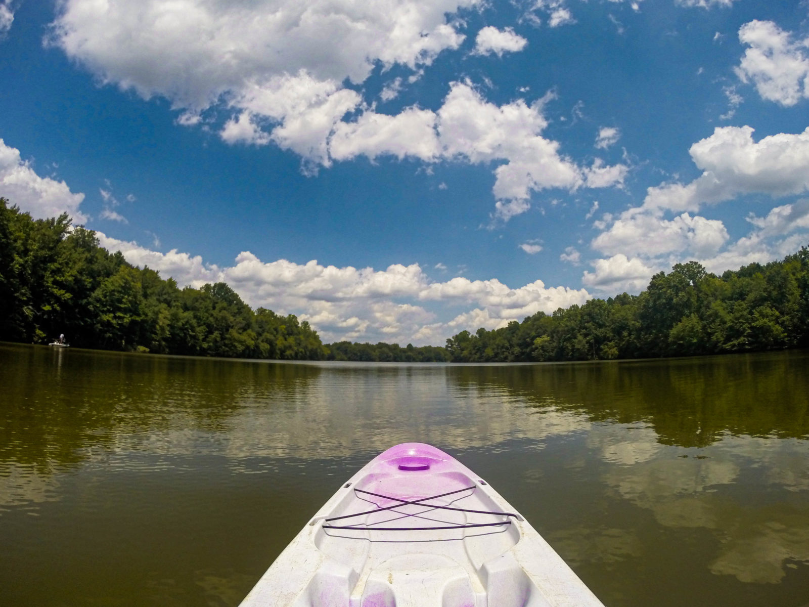 Experience Lums Pond State Park | delawarestateparks.blog