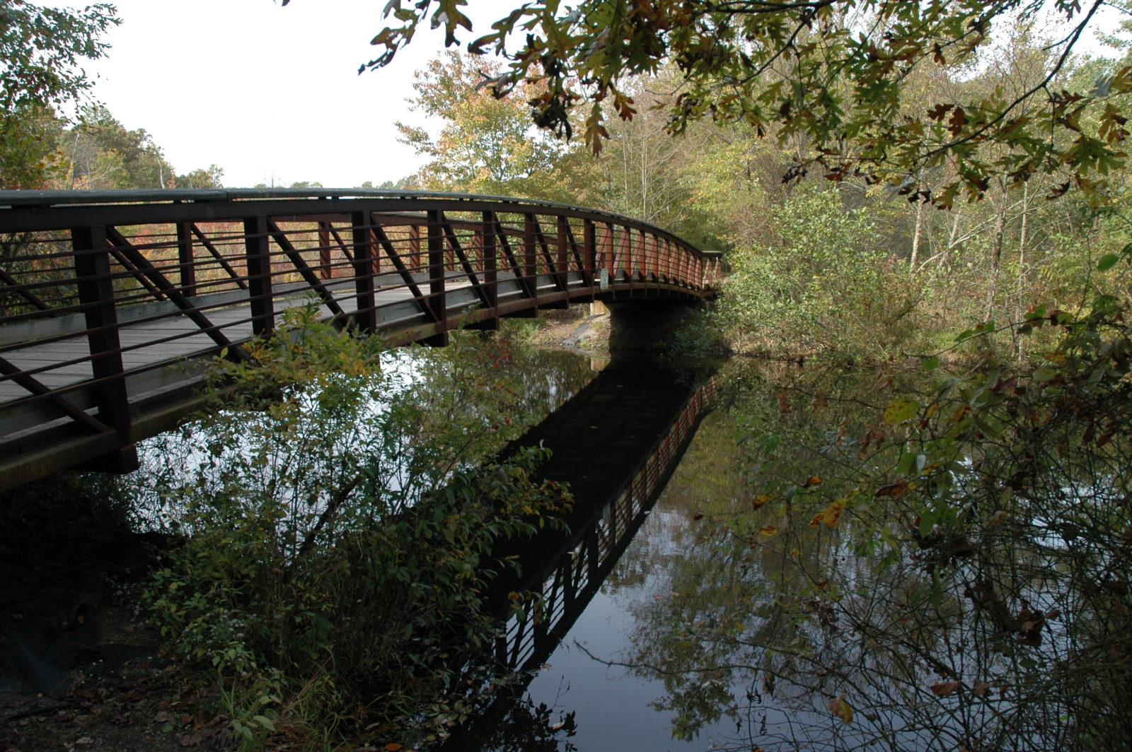Experience Killens Pond State Park | destateparks.blog
