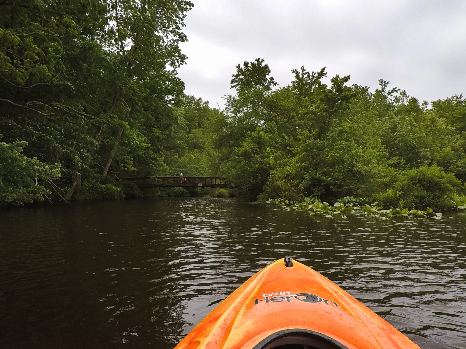 Experience Killens Pond State Park | delawarestateparks.blog