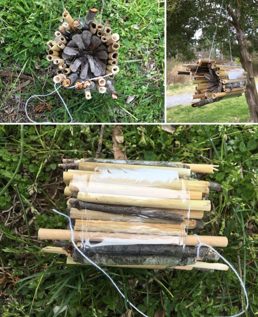 3 Earth Day Craft Ideas | delawarestateparks.blog