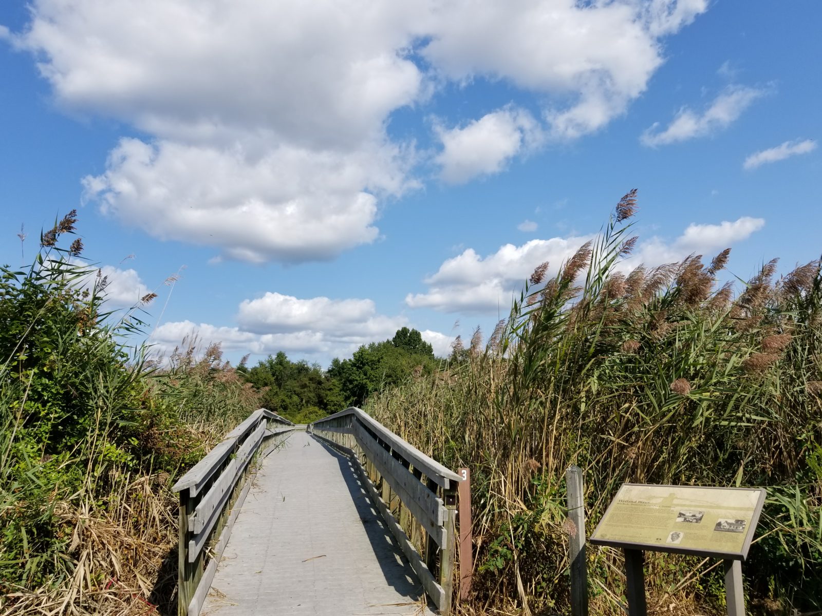 Experience Port Penn Interpretive Center | delawarestateparks.blog