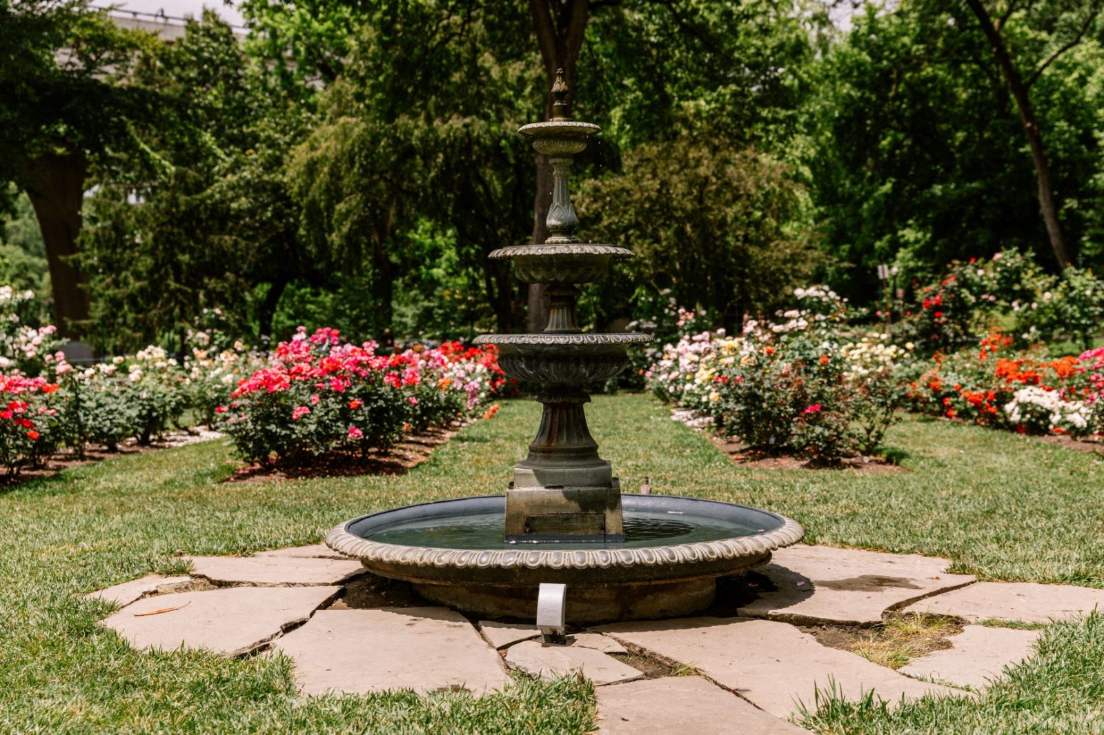 Jasper Crane Rose Garden at Brandywine Park | delawarestateparks.blog