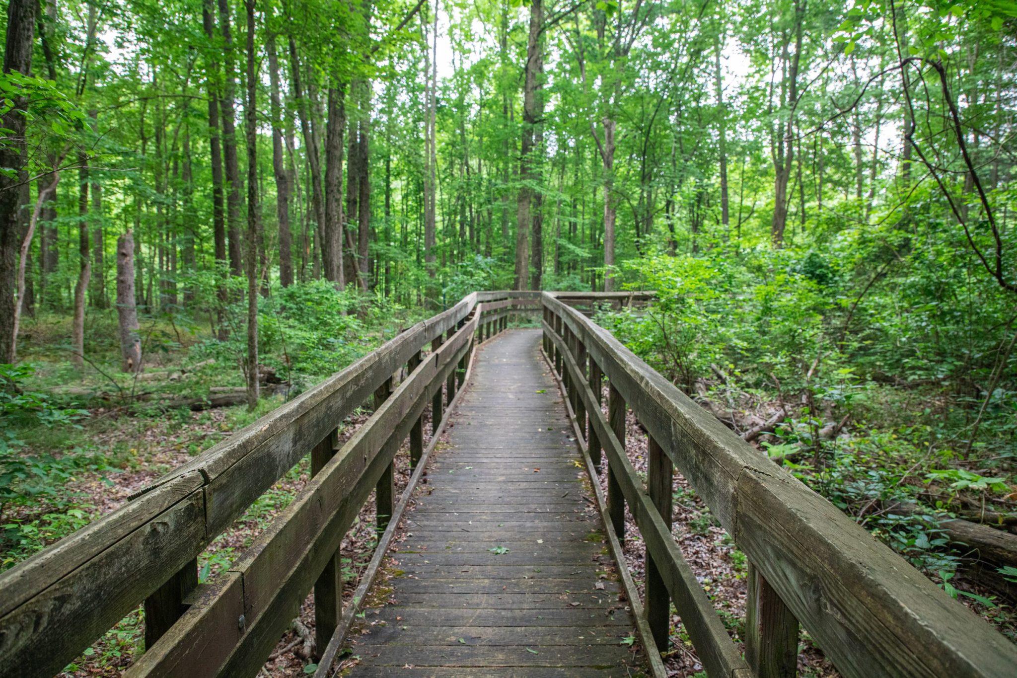The Best Hikes at Lums Pond State Park | delawarestateparks.blog