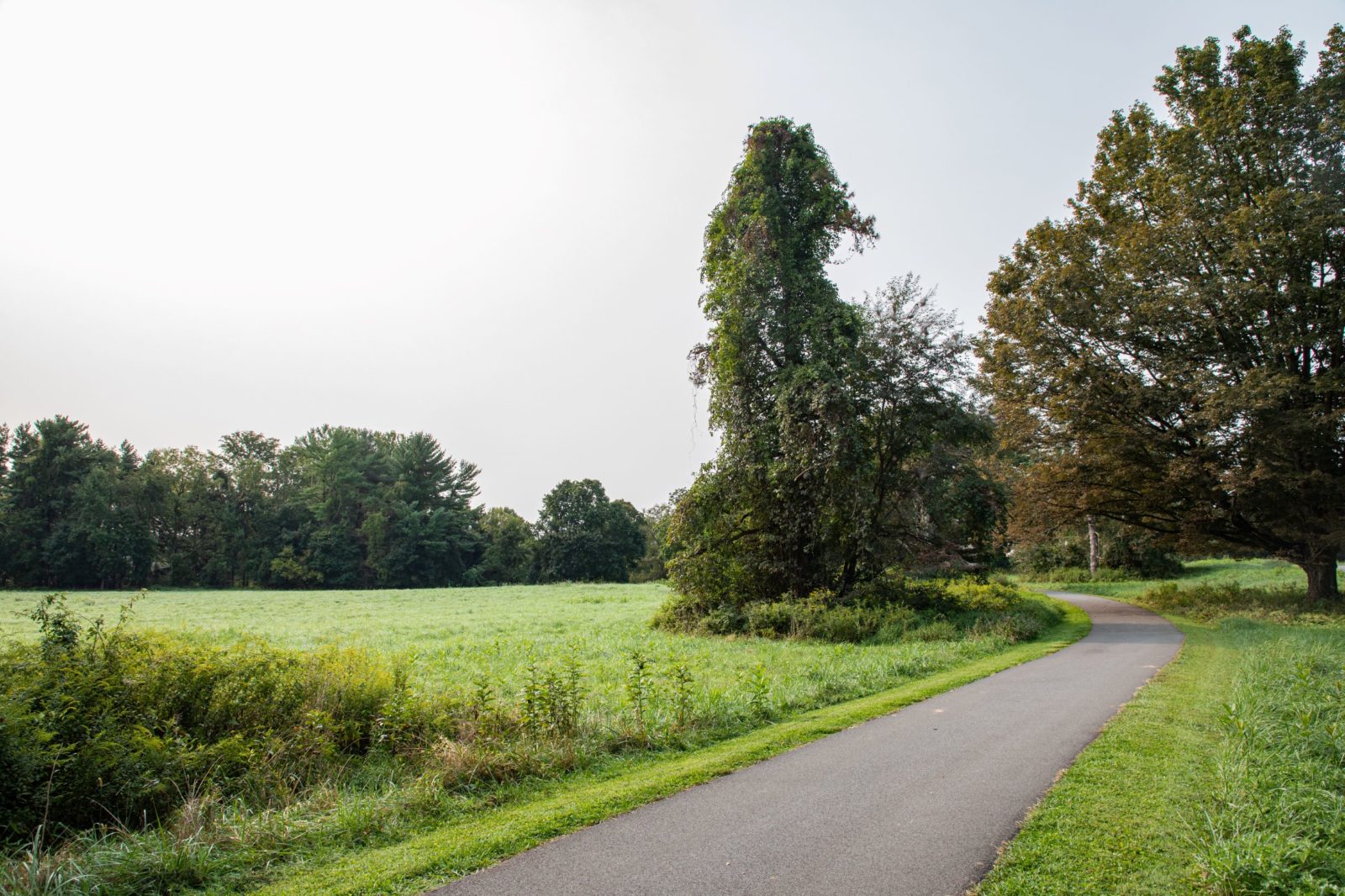Hiking at Auburn Valley State Park | delawarestateparks.blog