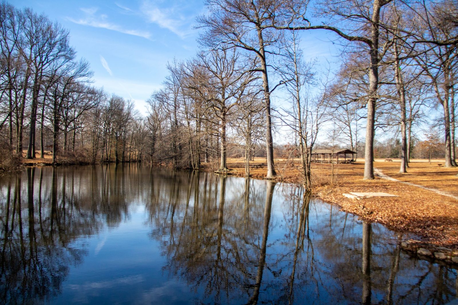 2020 Delaware State Parks Volunteer Photographers Virtual Exhibit ...