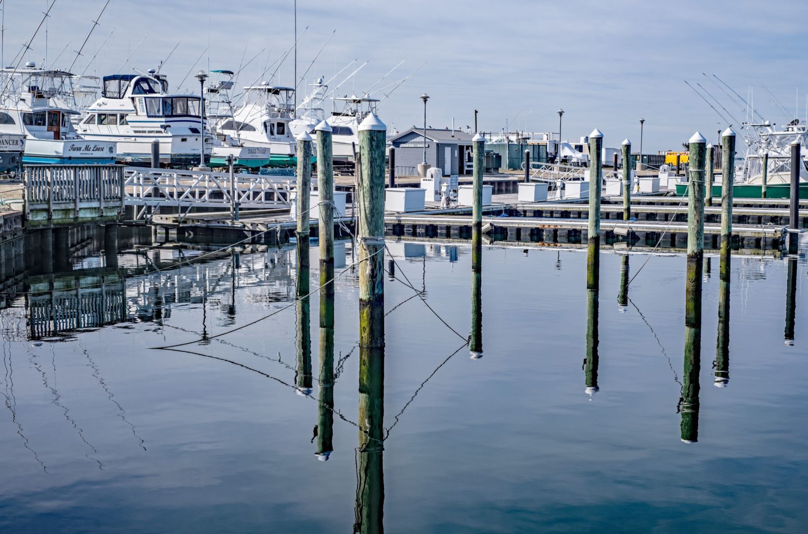 2020 Delaware State Parks Volunteer Photographers Virtual Exhibit ...