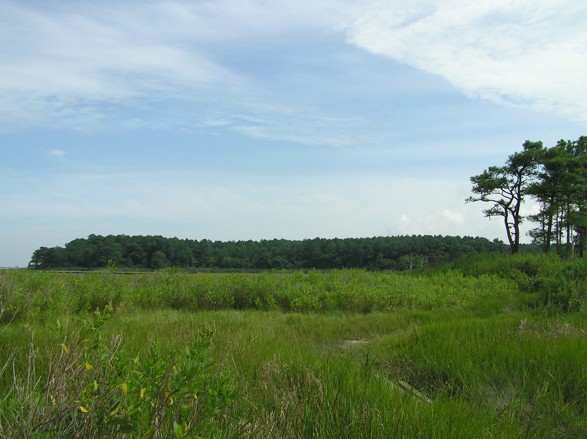 The History of Thompson Island at Delaware Seashore State Park ...
