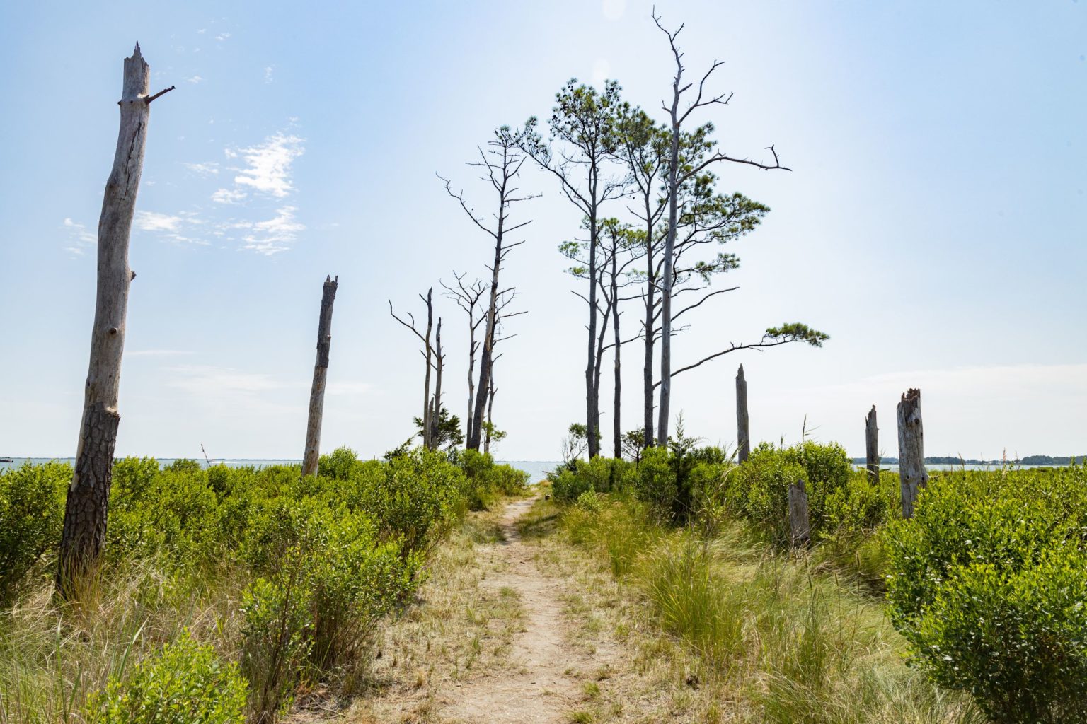 Nature Preserves to Hike in Delaware | delawarestateparks.blog
