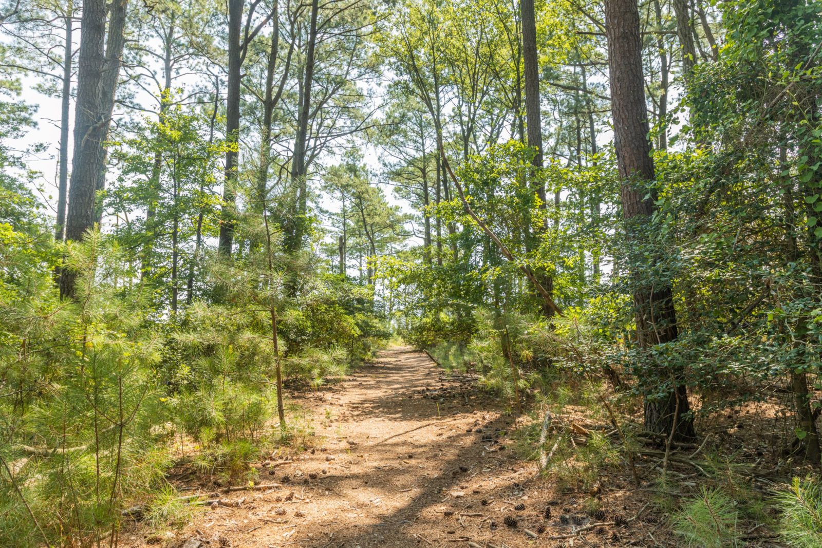 Nature Preserves to Hike in Delaware | delawarestateparks.blog