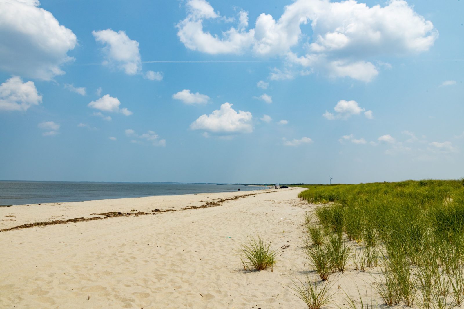 Nature Preserves to Hike in Delaware | delawarestateparks.blog