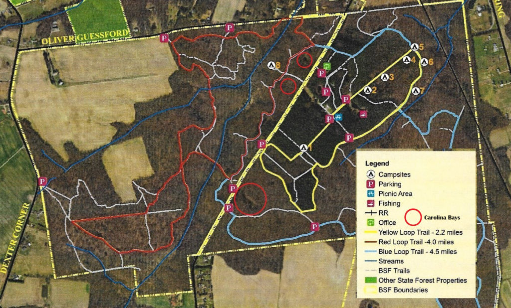 Nature Preserves to Hike in Delaware | delawarestateparks.blog