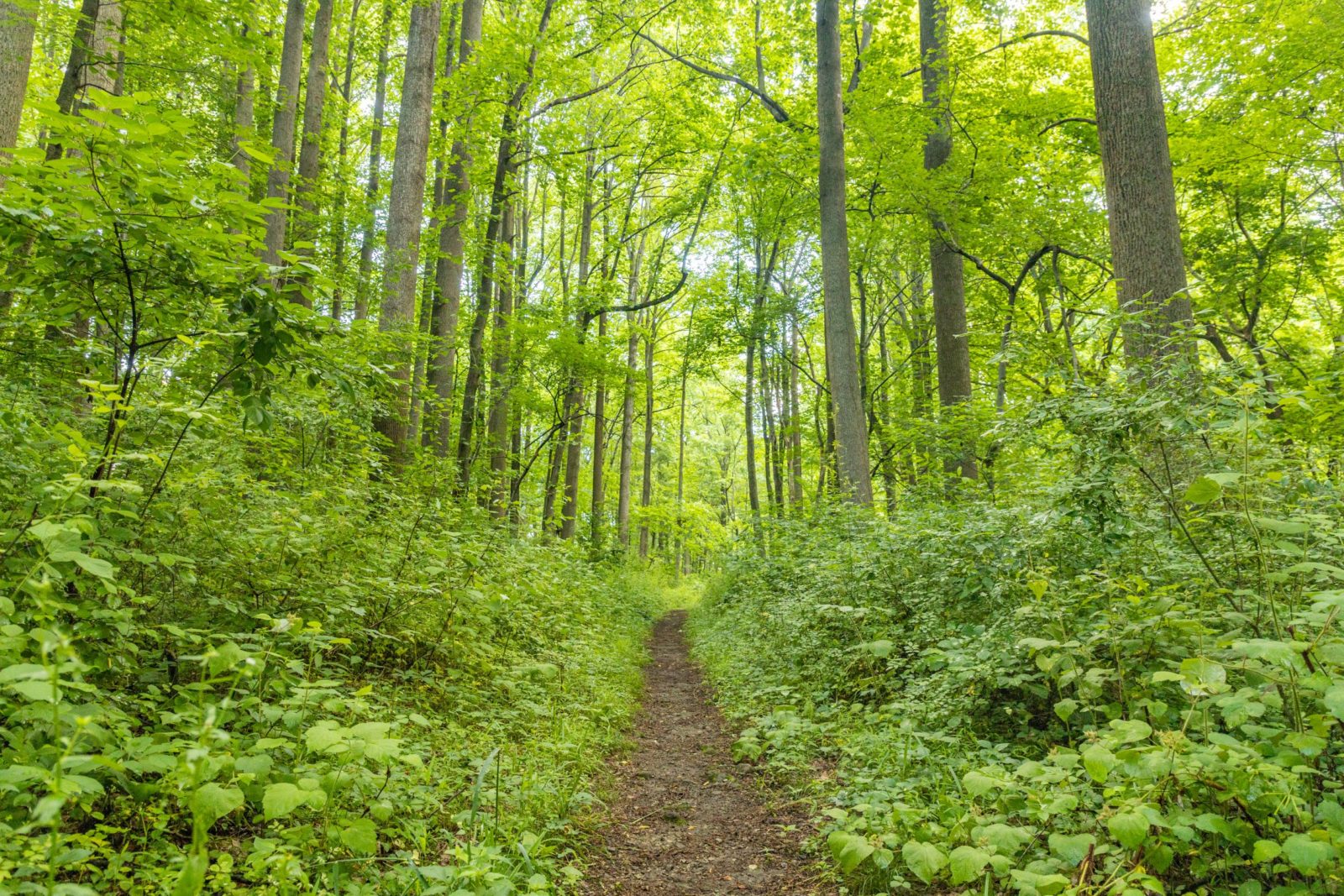 Nature Preserves to Hike in Delaware | delawarestateparks.blog