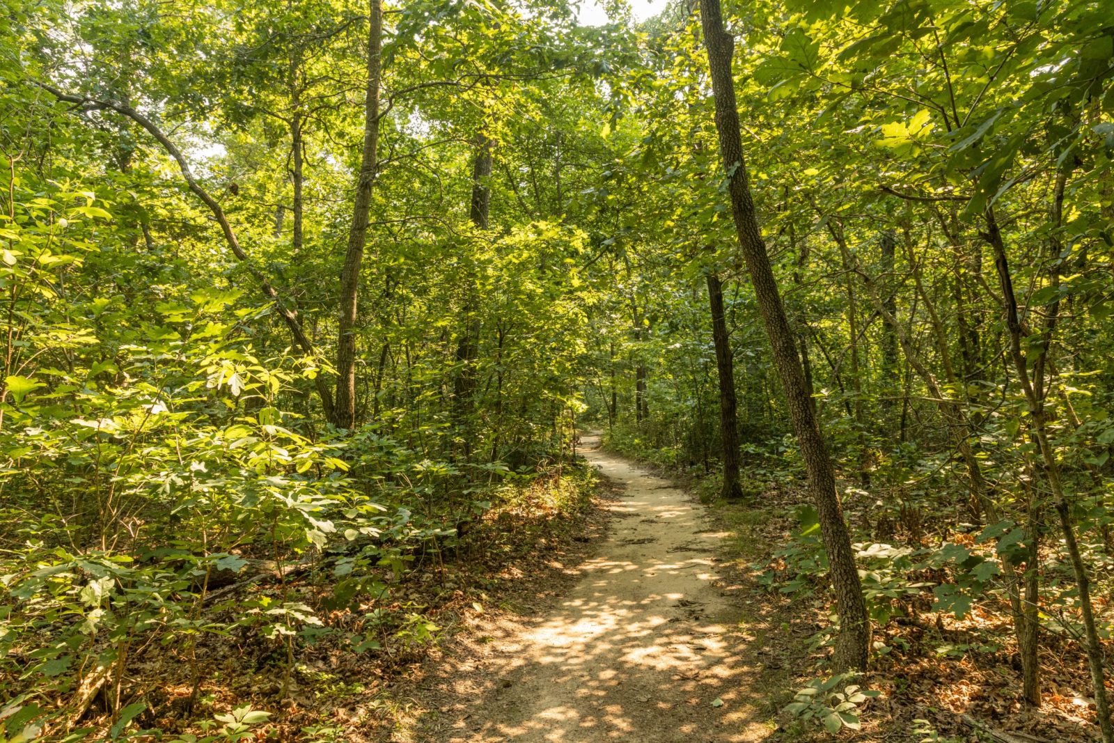 Nature Preserves to Hike in Delaware | delawarestateparks.blog